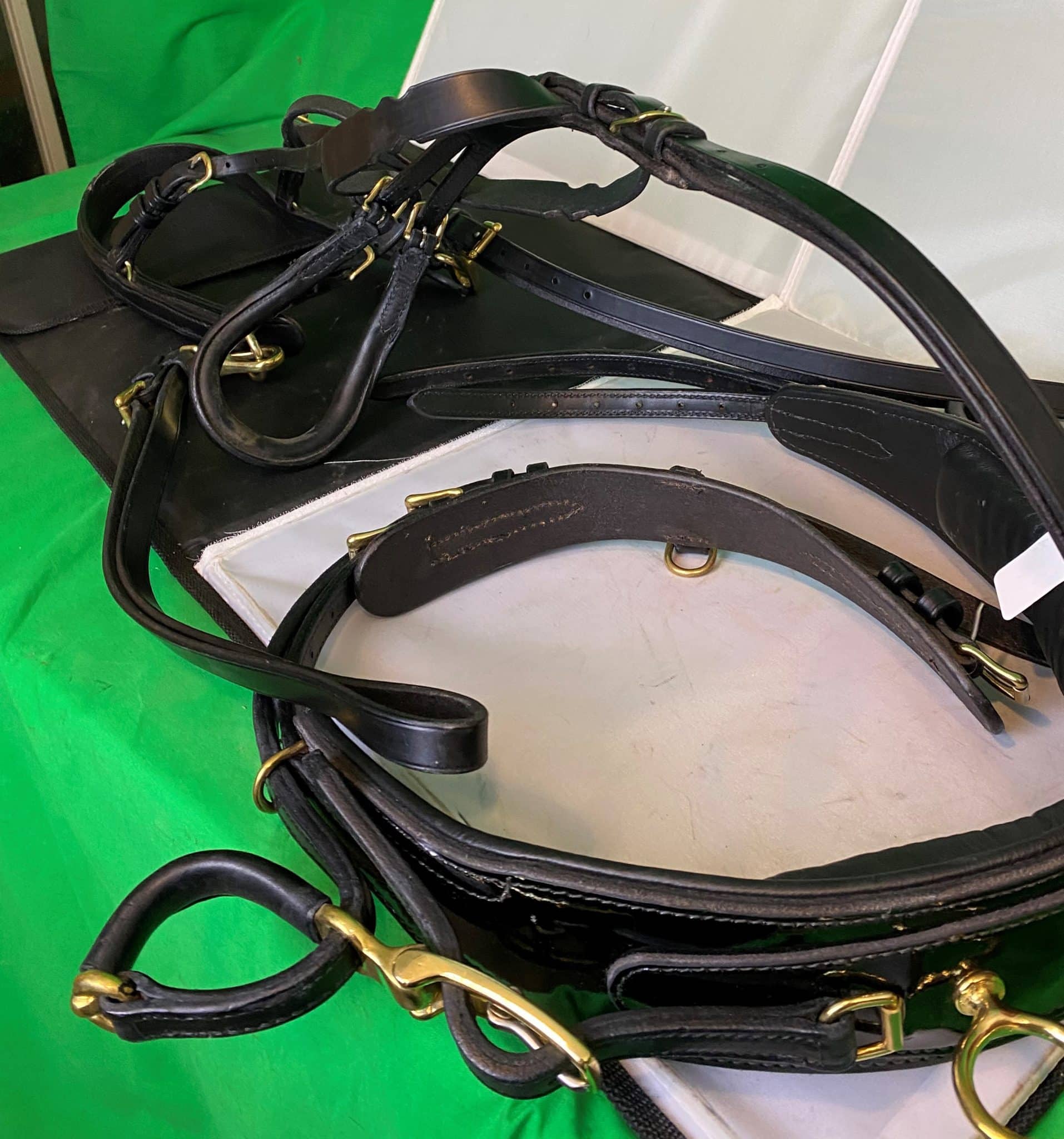 Miniature Carriage Harness | Herron's Tack
